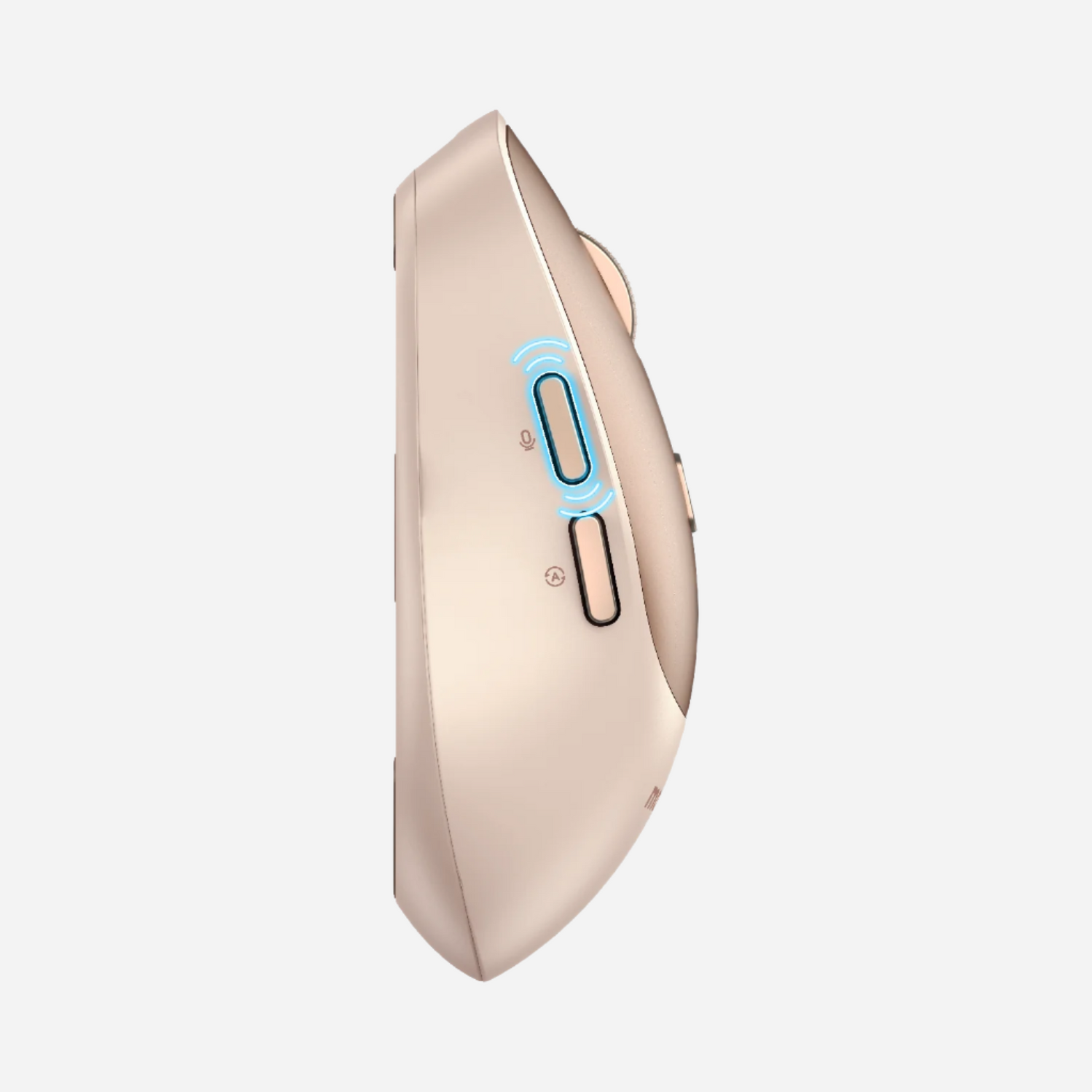 Products — Digital Walker