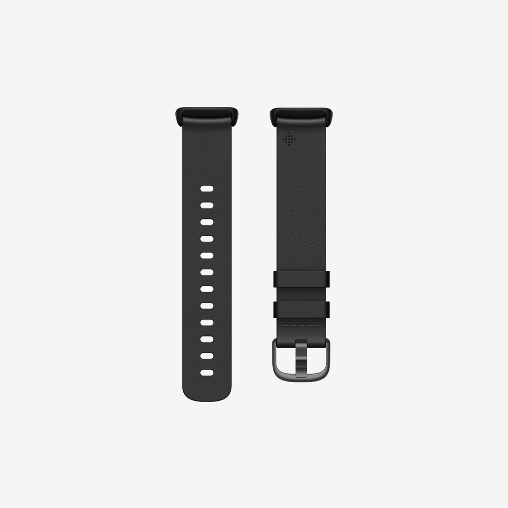 Fitbit — Digital Walker